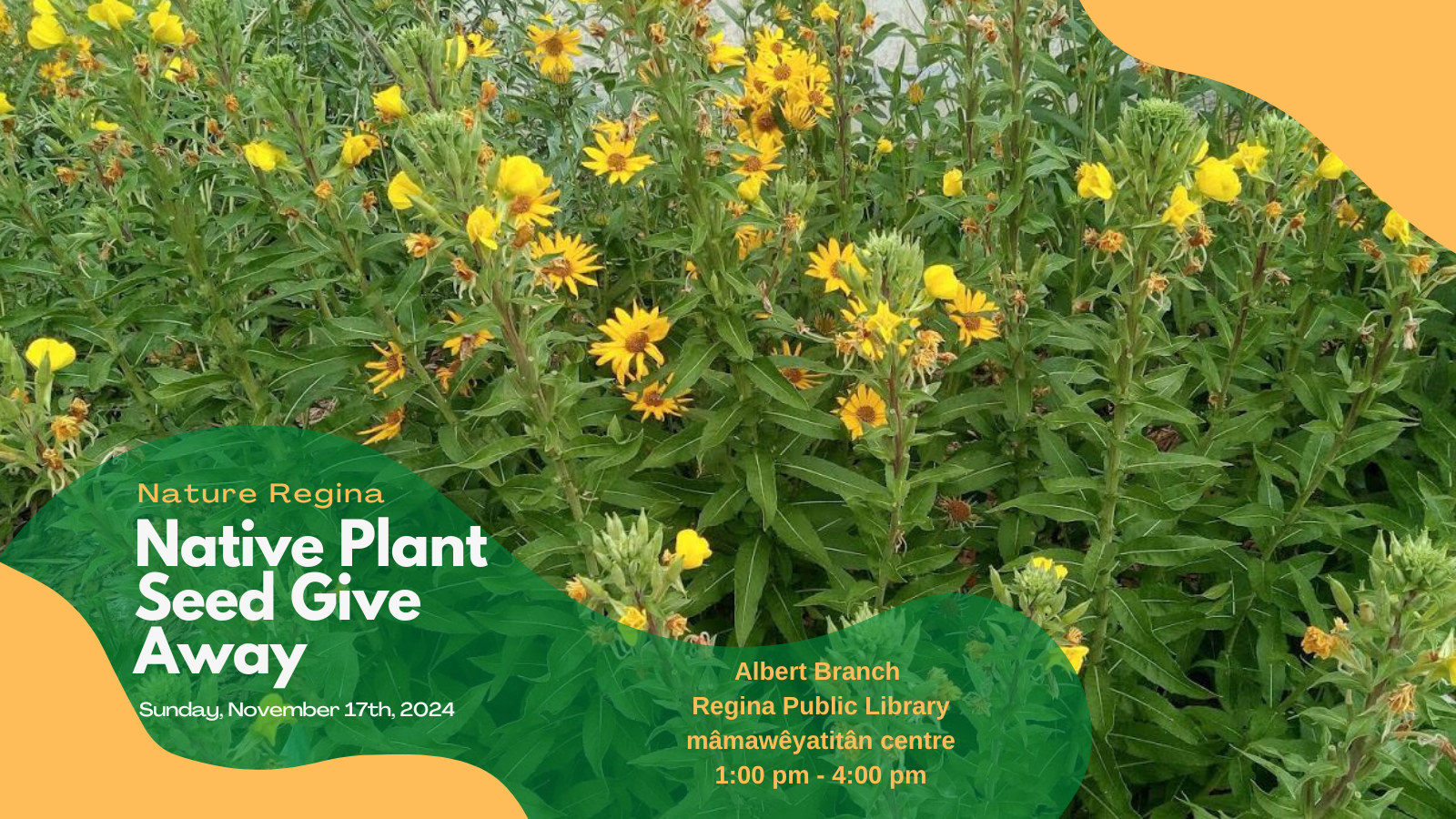 Native Plant Seed Give Away | Nature Regina