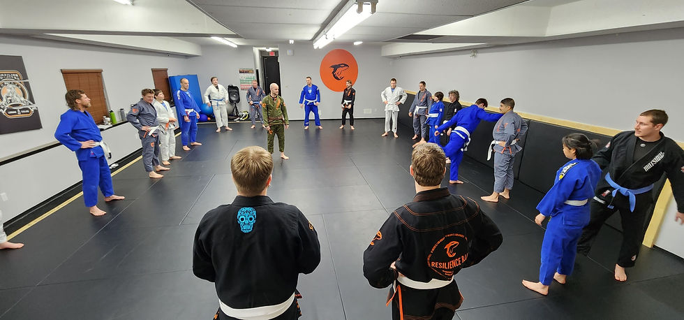 Resilience Brazilian Jiu Jitsu | bjj | 640 Kingsway Avenue Southeast ...
