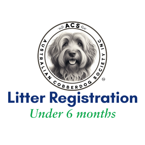 ACS Litter Registration - Under 6 months | Australian Cobberdog Society Inc