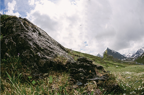 INDIVIDUALS SEEKING TREATMENT | Fidelity