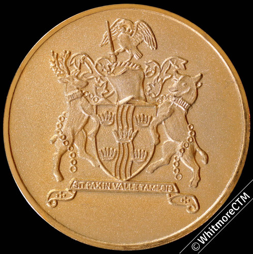 Thames Valley Police Sports and Social Club Medal 45mm Coat of Arms ...