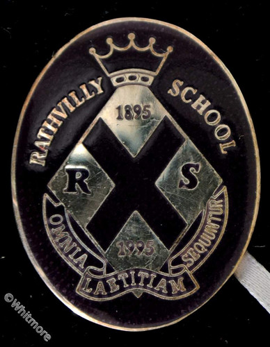 Birmingham Northfield 1995 Centenary of Rathvilly School Medal Oval 34 ...