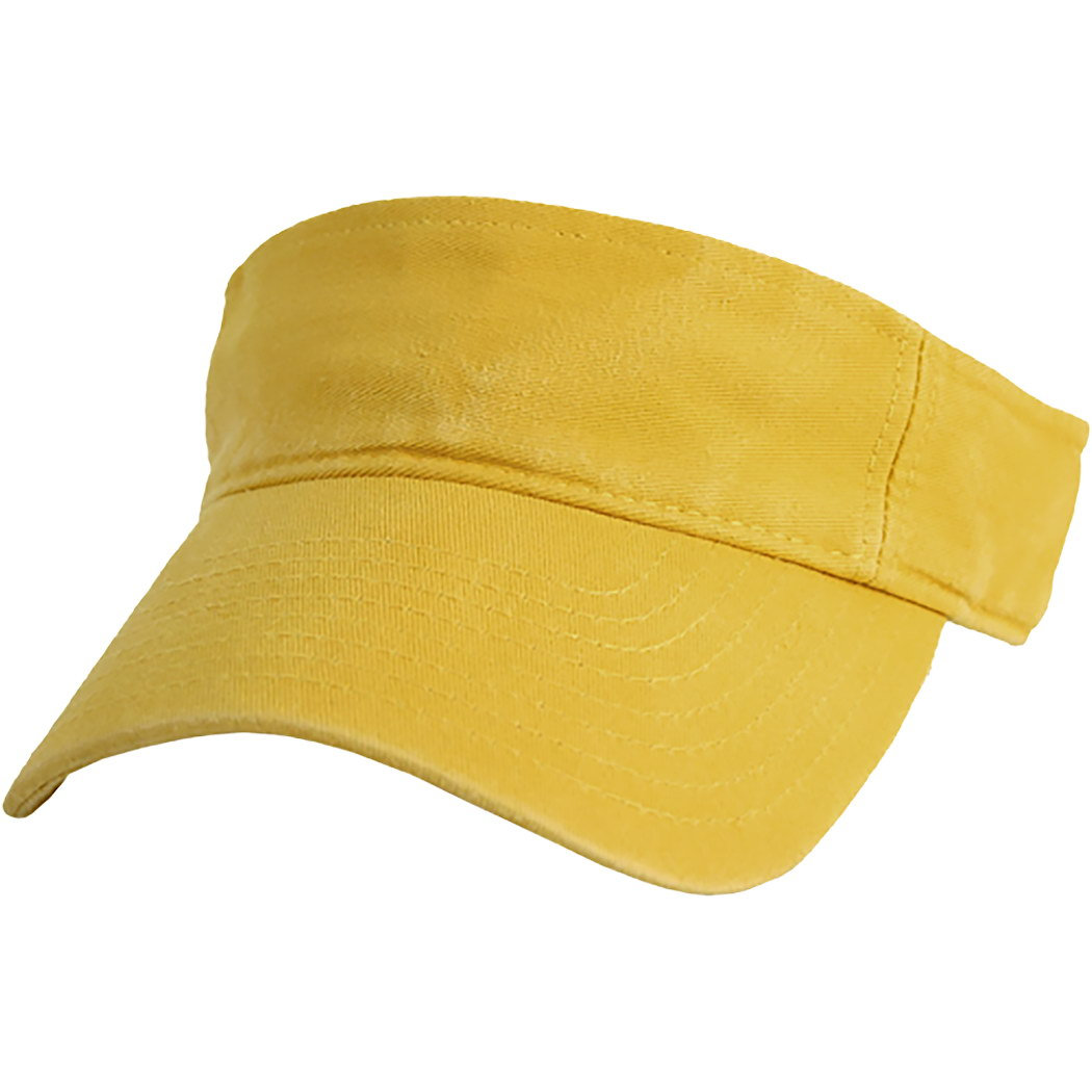 VS100 Visors