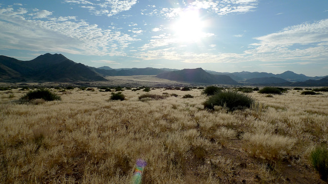Gallery | Sandfontein Lodge and Nature Reserve | Namibia