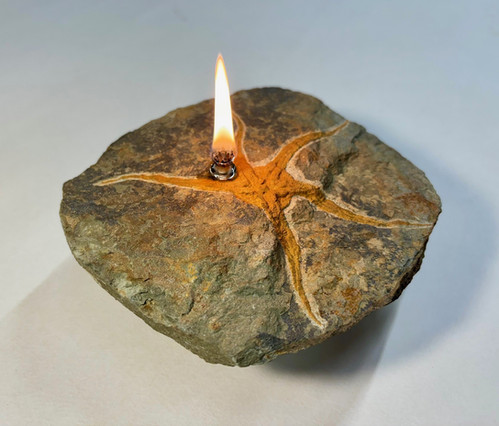 Brittle Star Fossil Oil Candle - small | Light of Mine Rock Candles