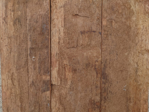 Old Basralocus Barnwood | Plancker.nl