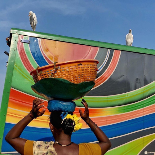 Mogaveera Fisherwoman 4 | indrajitkhambe