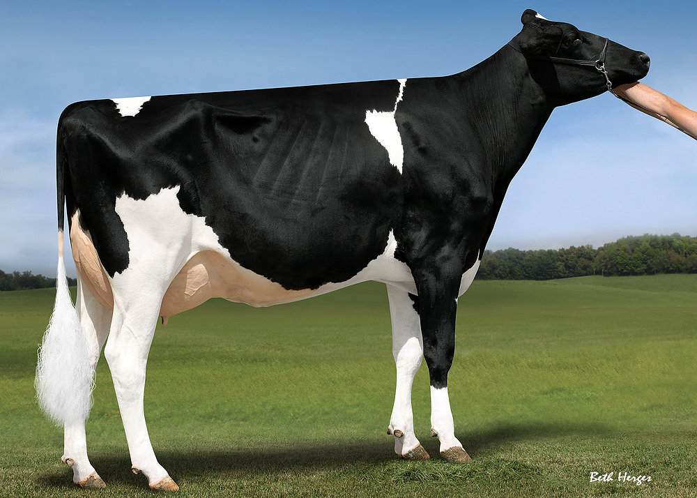 GenoSource Classification Results