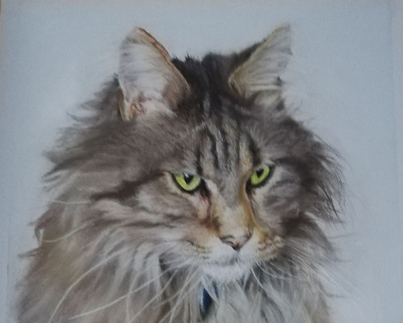 Home | Paula Prince Art | Pet Portrait | Artist | Nounsley