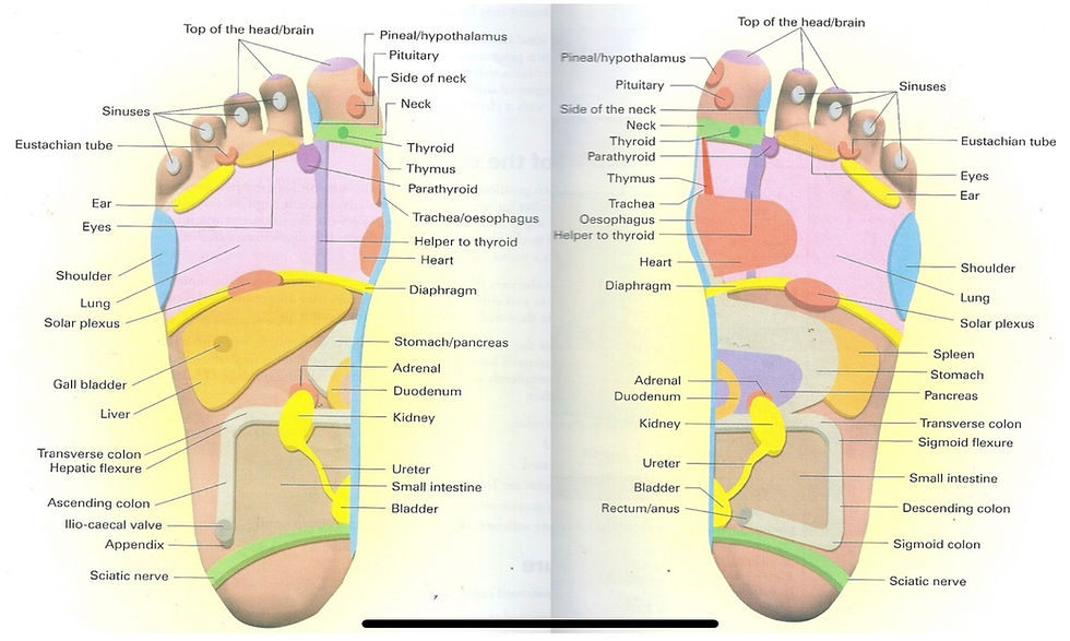 An Introduction to Reflexology