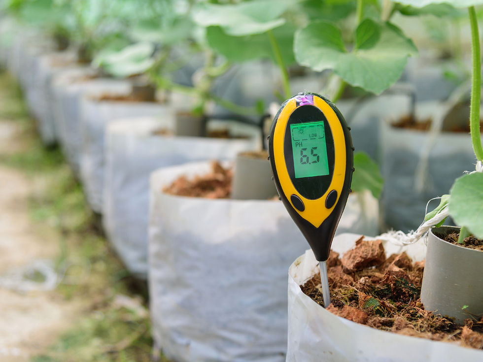 Sensor Tanah dalam Perkebunan Modern: Keuntungan dan Kendala Penerapannya