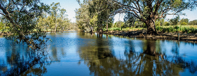lachlan river