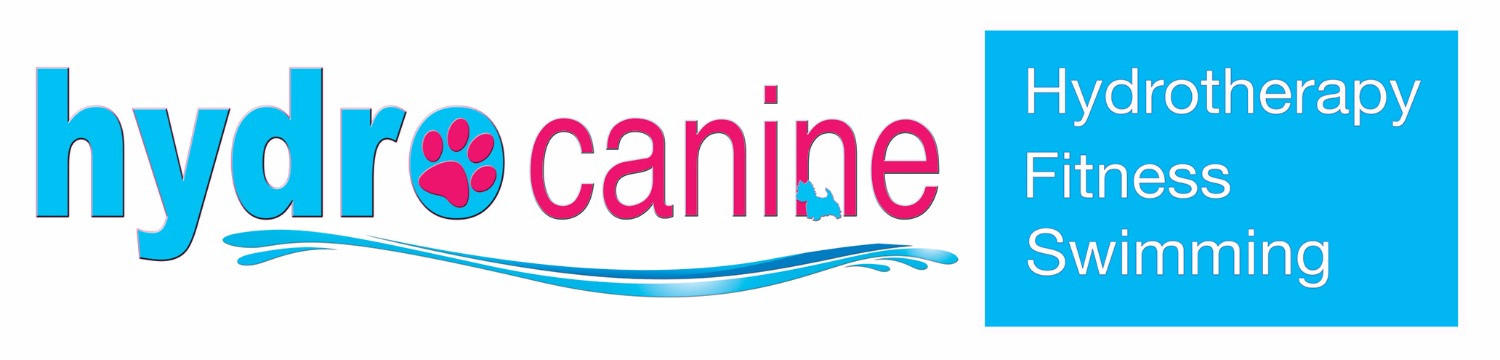 Dog Swimming | Dog Hydrotherapy | Hydro Canine I Singapore