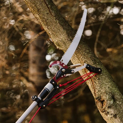 Kent and Stowe Telescopic Tree Lopper 3M | Clements & Sons