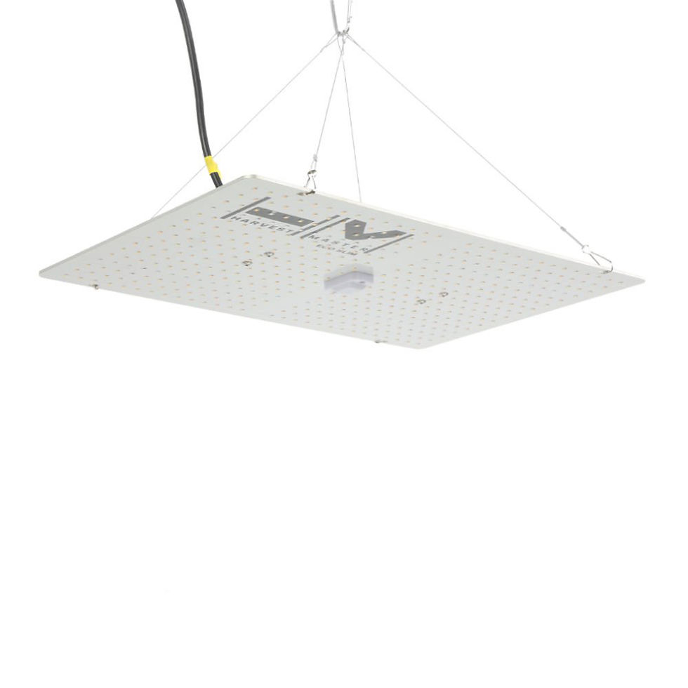 Harvest Master Quantum Board 200W Eco | Harvest Master