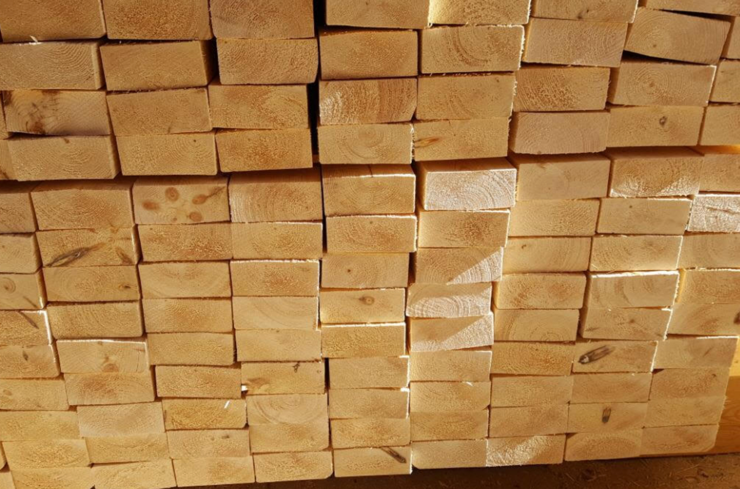 Why Pine Wood Building Materials Trading LLC is the Go-To Supplier for ...