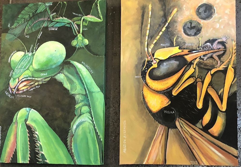 ARTWORKS, PICTURE BOOKS AND VISUAL THINKING STRATEGIES (VTS)