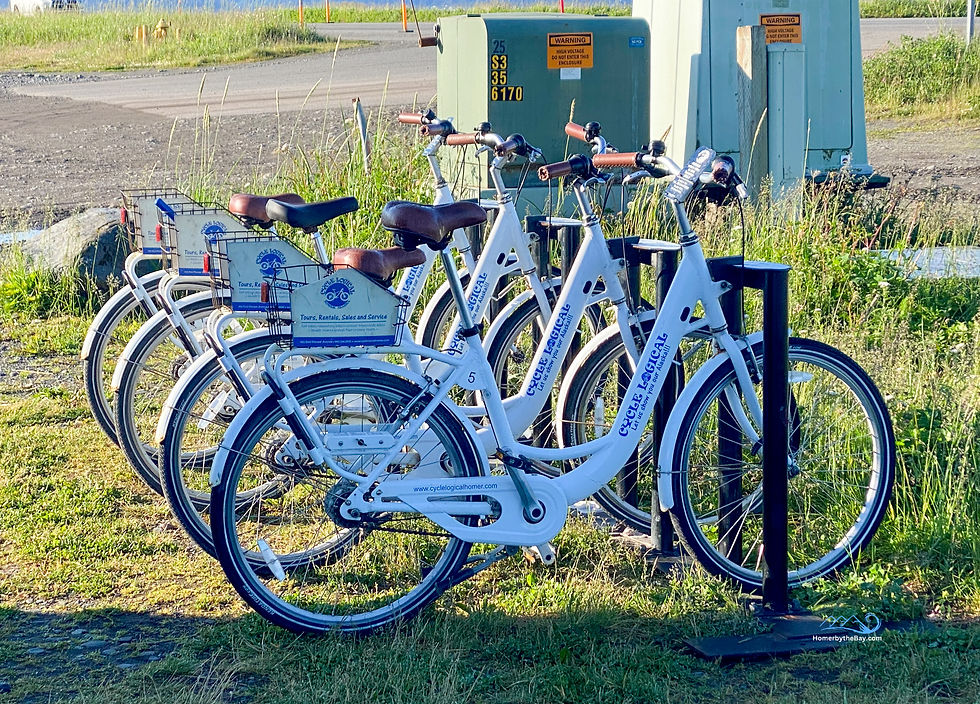 The Homer Spit: Journey to Homer Alaska's Coastal WonderHomer Alaska