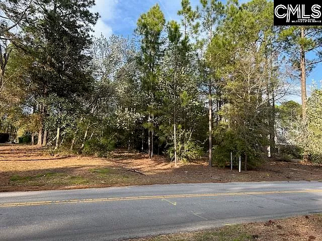 Spring Valley Neighborhood Homes and Homesites For Sale | Columbia SC