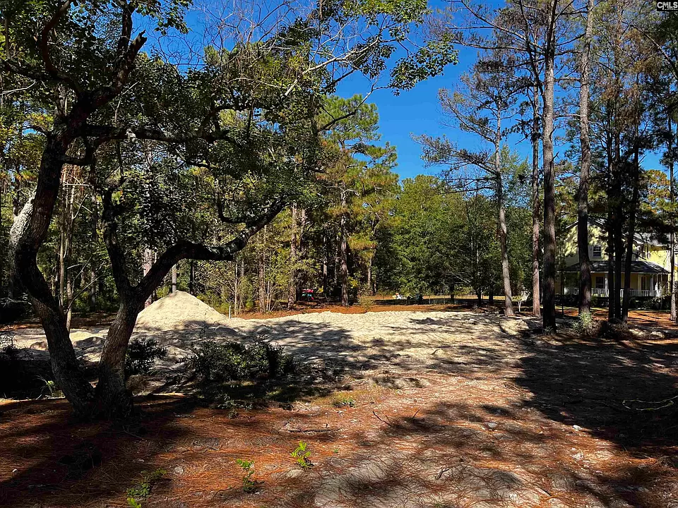 Spring Valley Neighborhood Homes and Homesites For Sale | Columbia SC