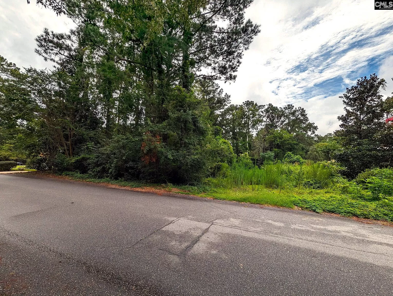 Spring Valley Neighborhood Homes and Homesites For Sale | Columbia SC