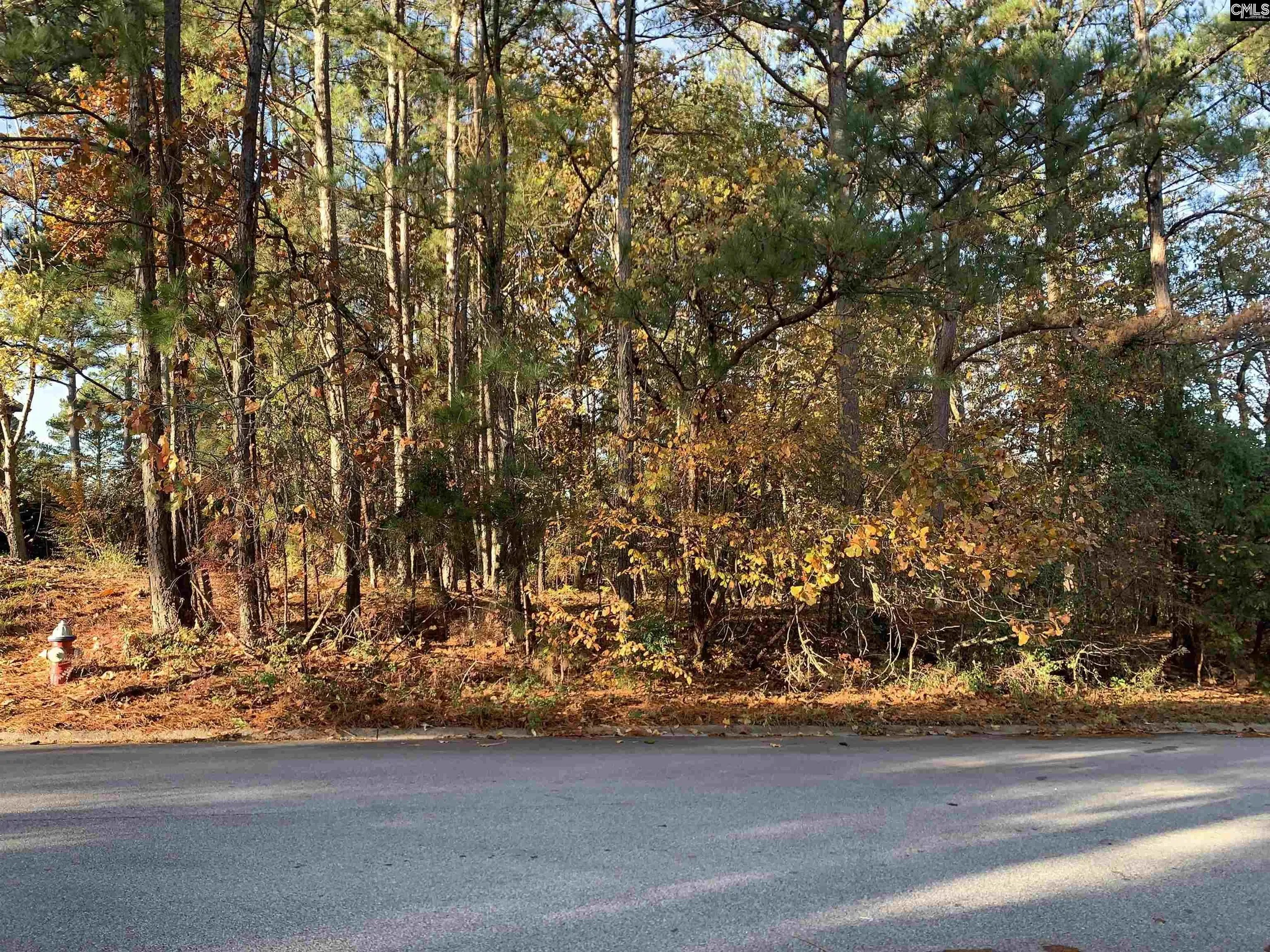 Spring Valley Neighborhood Homes and Homesites For Sale | Columbia SC