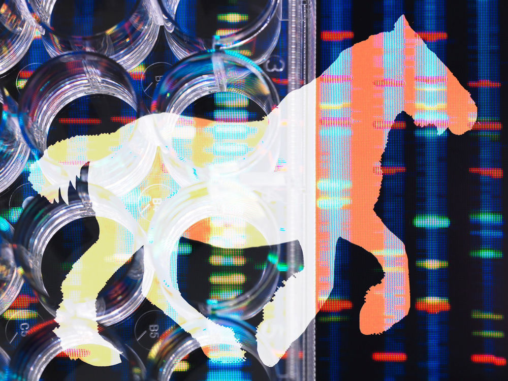 Understanding PSSM in Brabants