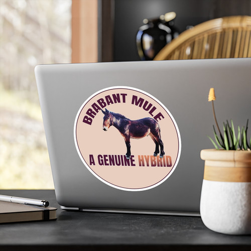 Mule: Genuine Hybrid Vinyl Decals | European Brabant