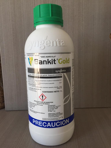 BANKIT GOLD | Misitio