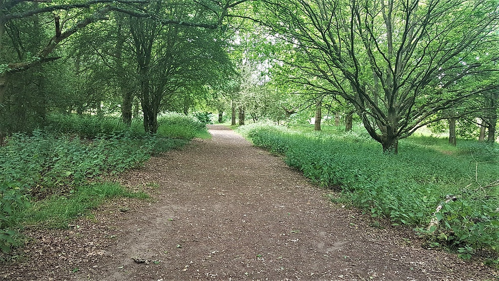 Walking routes: a southern loop of Colchester