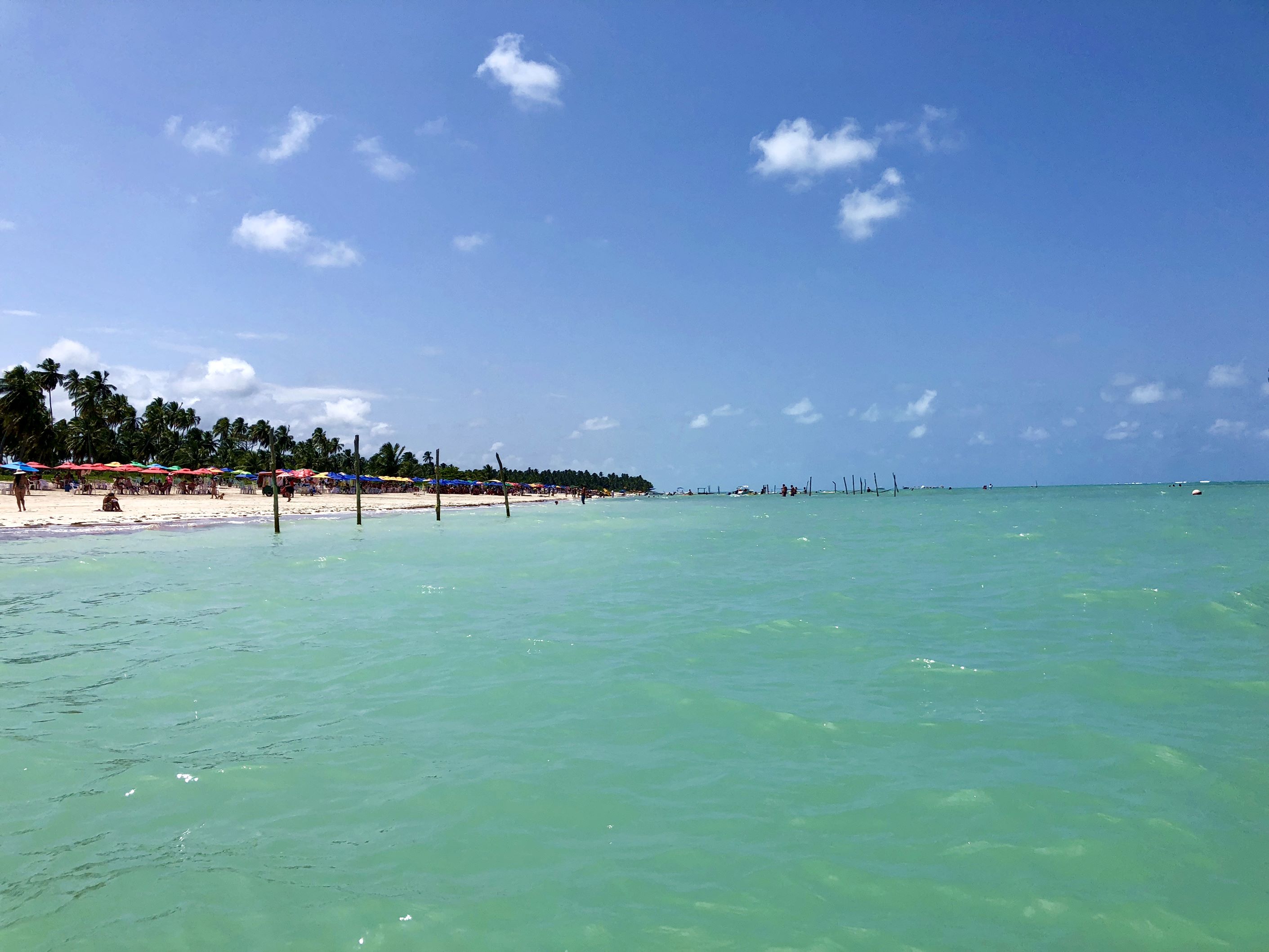 Maragogi (Brasil) - o que fazer, dicas - Bora Viajar Agora