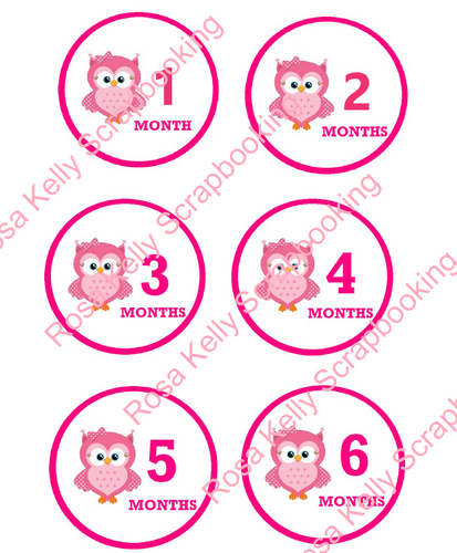Owl Baby Girl Month Tags | Mysite
