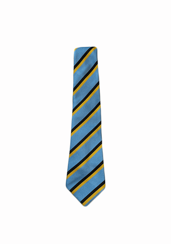 Sweyne 6th Form Tie | Dollys