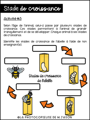 Découvrir les animaux au 2e cycle