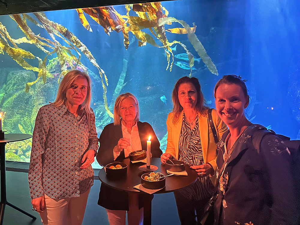 Summer mingle at Universeum in Gothenburg