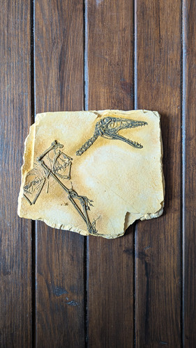 Sordes Pilosus Skeleton Replica | NP Collectables