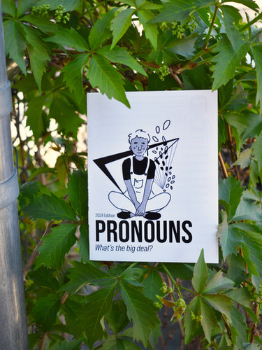 Pronouns: What's the Big Deal? 2024 Edition (Physical Zine) | The TNET ...