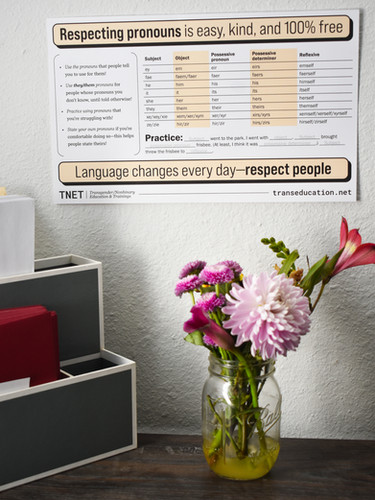 Neopronouns (Poster) | The TNET Store