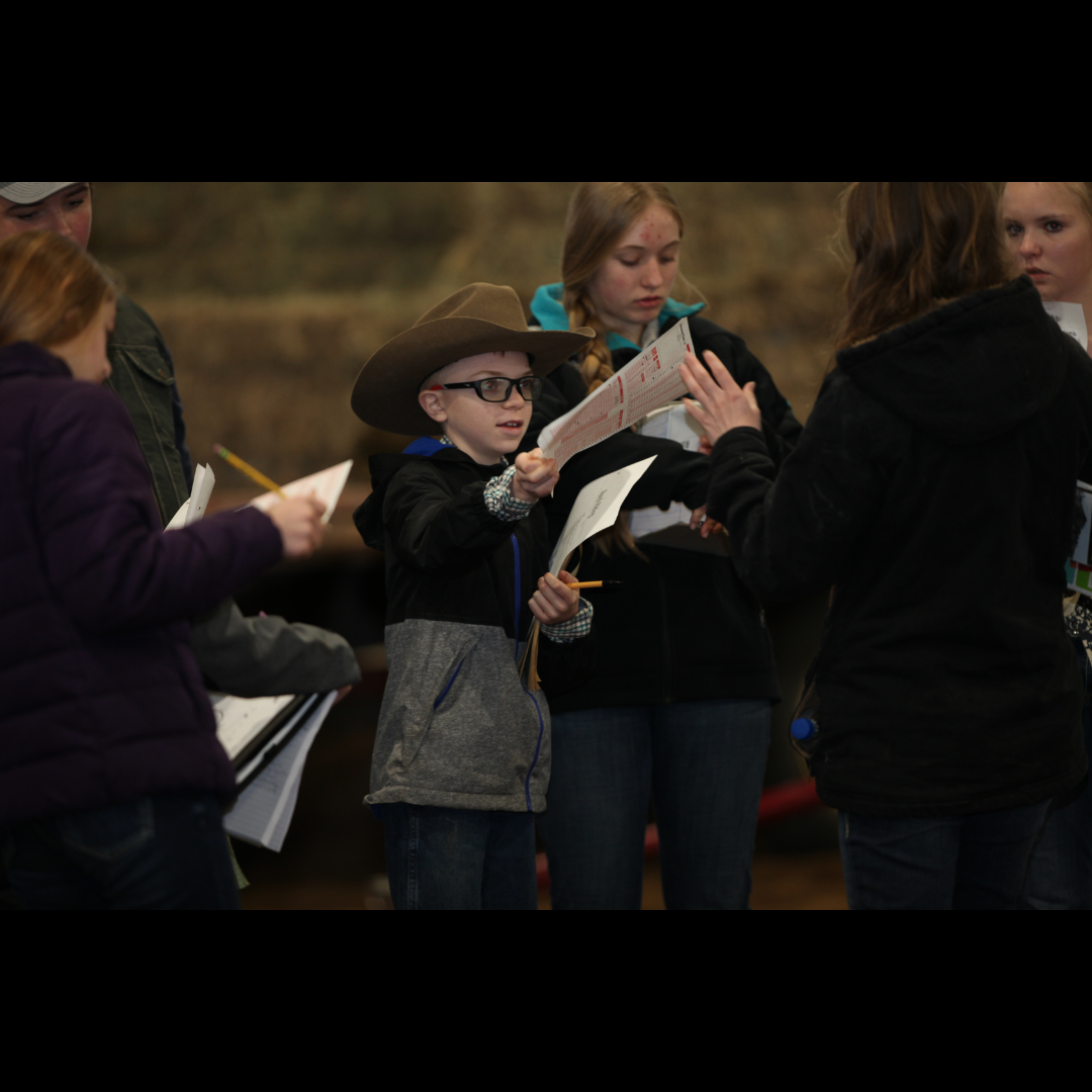 Youth Horse Judging