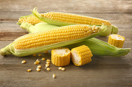 Freeze-Dried Organic Sweet Corn (Yellow or White) | Back Forty Farms