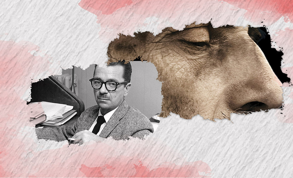 STONER, de John Williams (resenha) | LiteraTamy