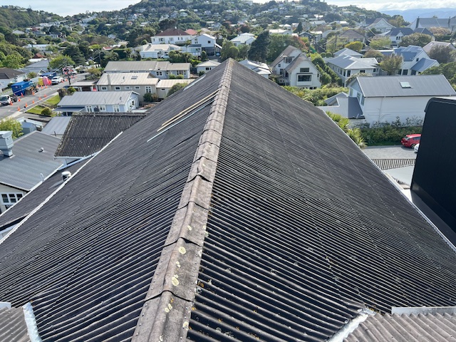 Sustaining the Past for the Future: The Fascinating Story of the ...