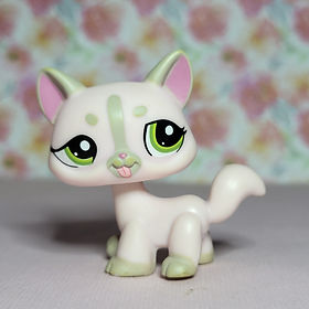 lps coloring pages short hair cat