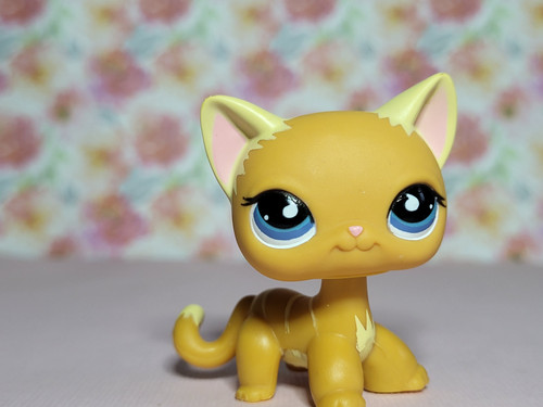 LPS Shorthair Cat #NO | MyushoppyLPS