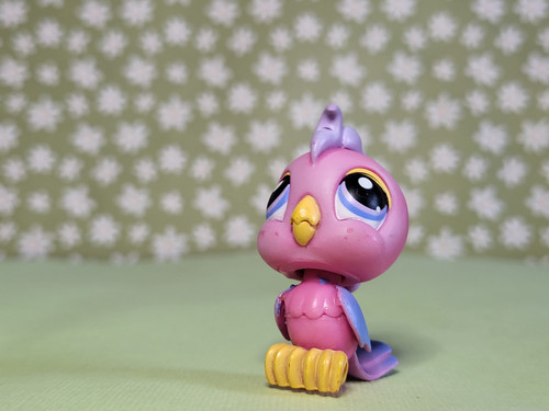 LPS Cockapoo Bird #372 | MyushoppyLPS