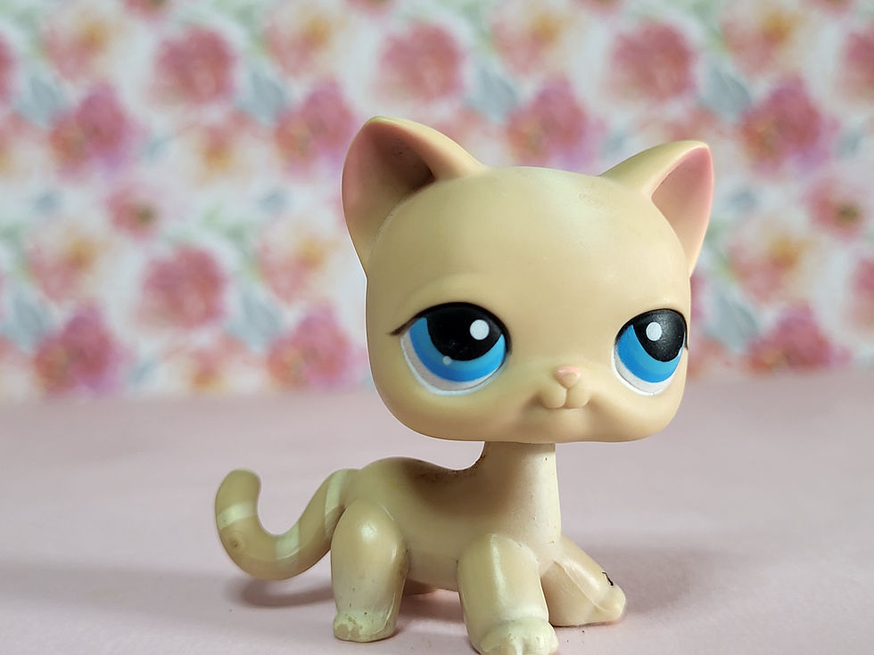 Cat: LPS Populaires | Myushoppy