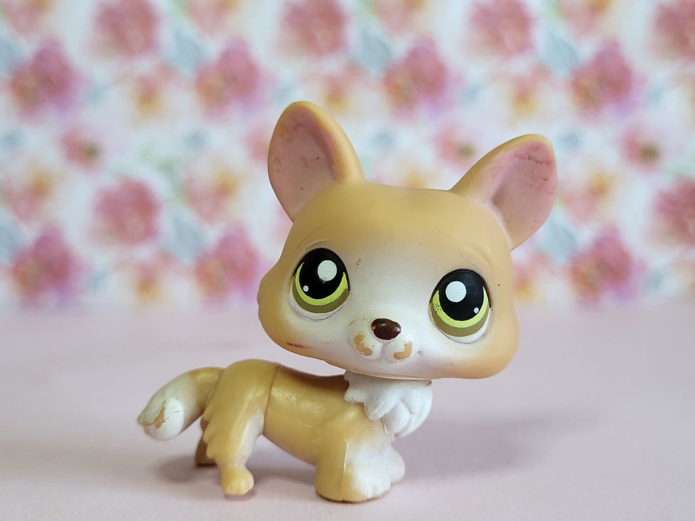 LPS New Arrivals | Nouveaux Arrivages | MyushoppyLPS