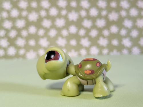 LPS Turtle #8 | MyushoppyLPS