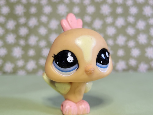 LPS Peacock Bird #1893 | MyushoppyLPS