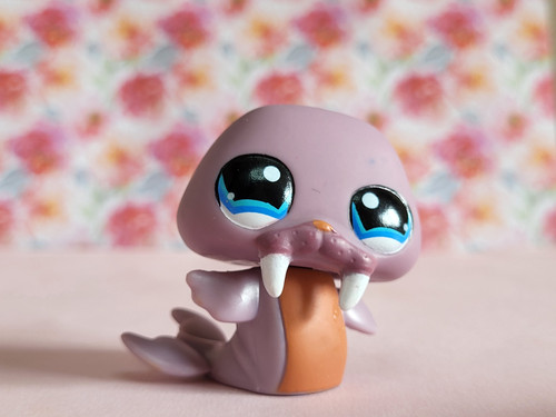 LPS Walrus #1119 | MyushoppyLPS